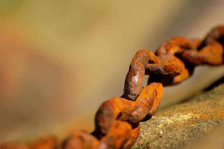 TONOS DE MARRÓN: EXPLORA LOS TONOS DE LA PALETA DE COLORES MARRONES